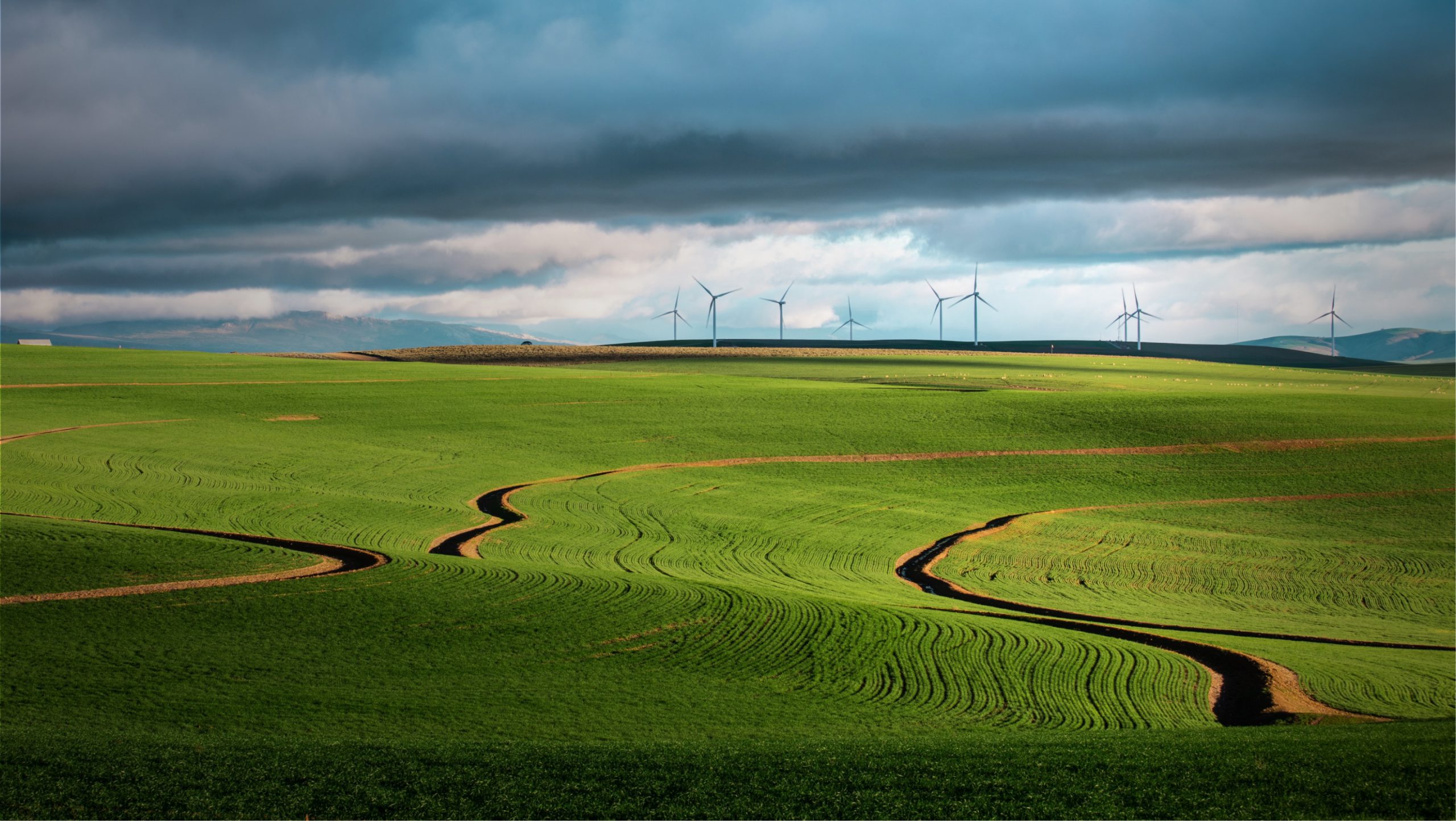 Land Assessment - Pacifico